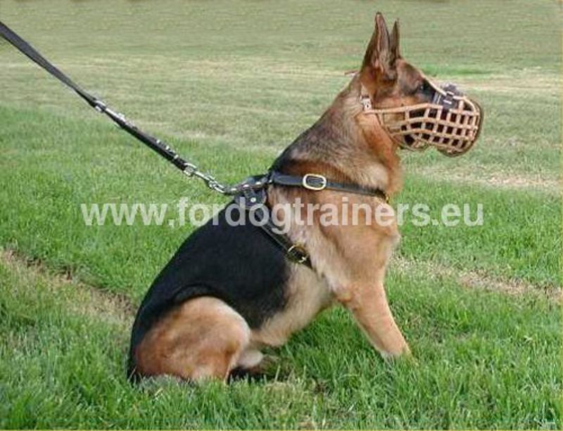 Maulkorb Leder, Hundemaulkorb K9, Ledermaulkorb Dienst