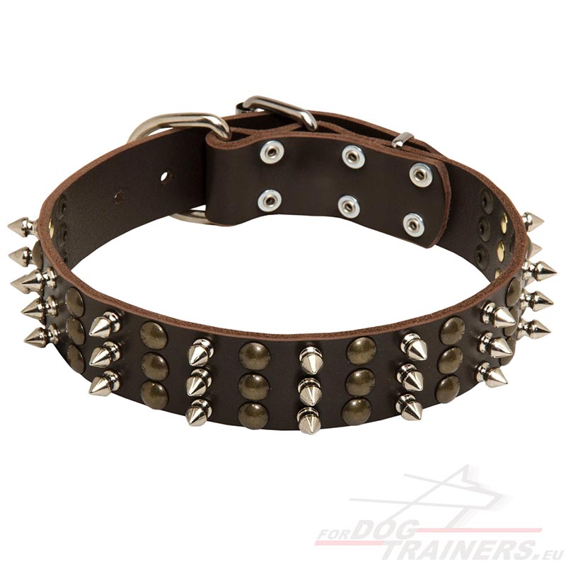 Collier pour chien puissant | Collier extra classe