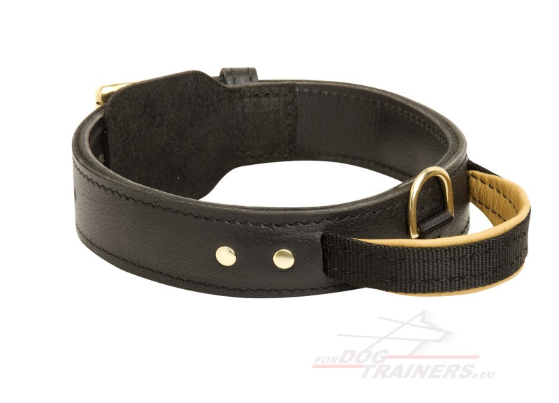 Collier de dressage de chiens en cuir avec poignée pour Malinois [C33 ...