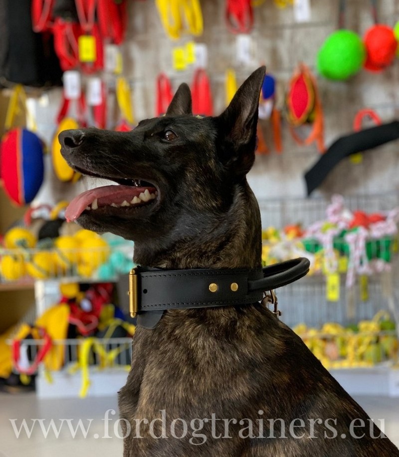 Collier de dressage de chiens en cuir avec poignée pour Malinois [C33 ...