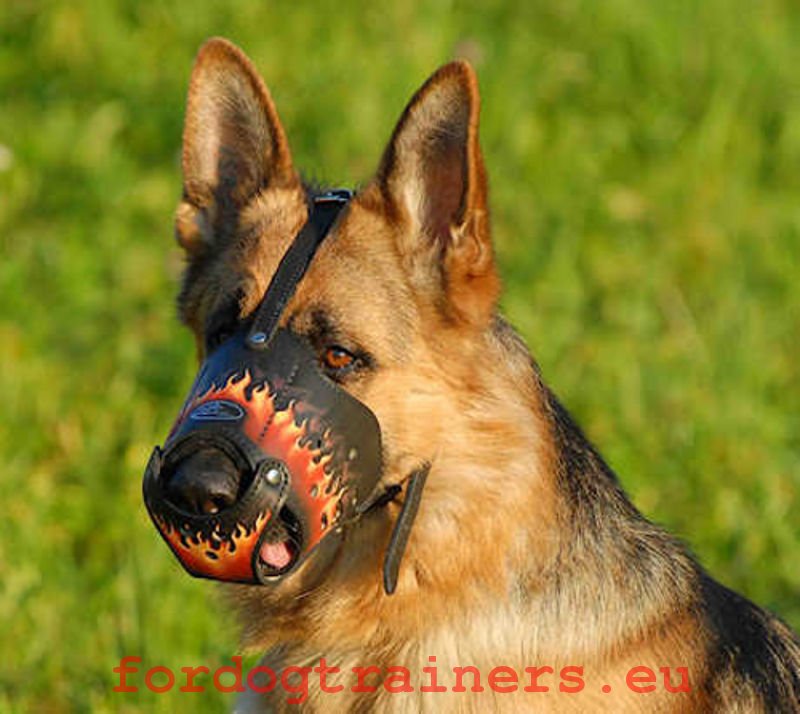 Hunde Maulkorb, Ledermaulkorb, Flamme Maulkorb