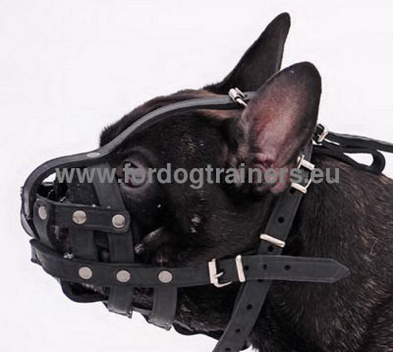 Universeller Ledermaulkorb fuer Franzoesische Bulldogge [M41##1057 ...