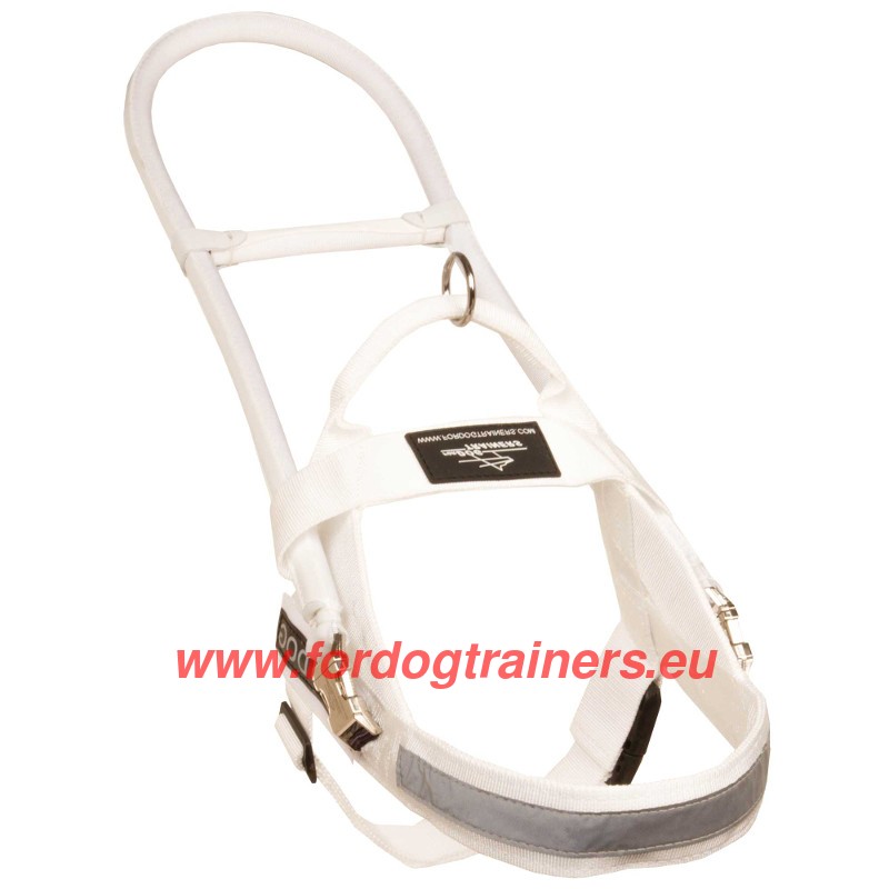 Nylon Harness White for Assistance Dog [H20W#1057 Pettorina di nylon ...